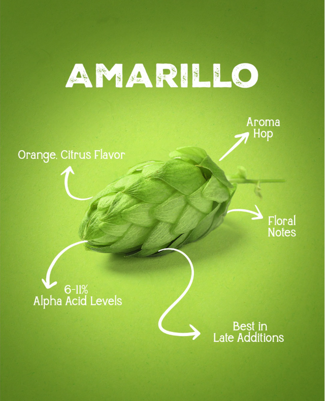 AMARILLO® VGXP01 c.v. | 2023 Crop | Hop Pellets | Hops Direct