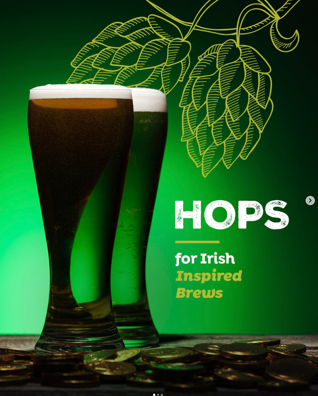 Hops Direct | Buy Hops | Beer Brewing Hops Provider